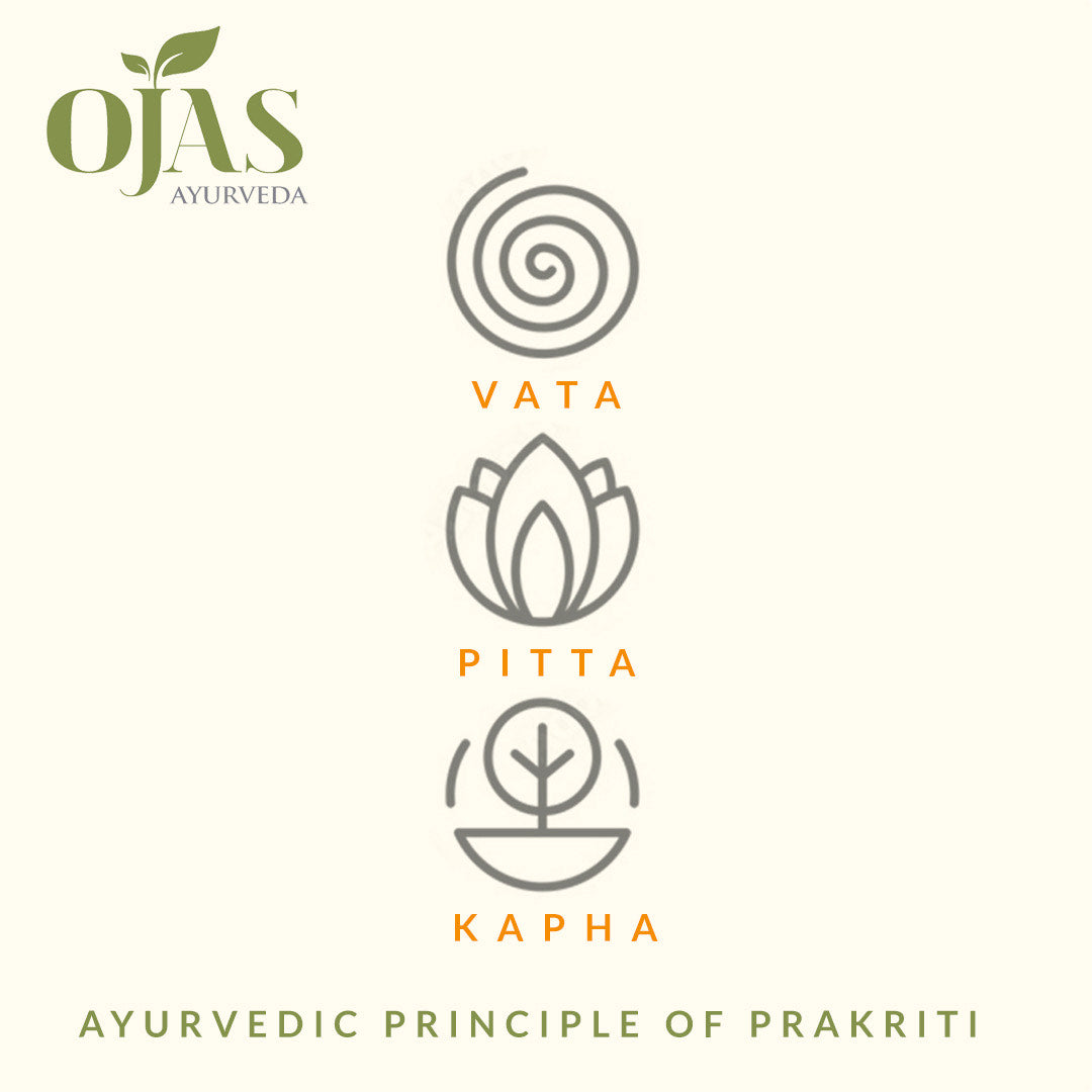 Vata, Pitta, Kapha: Ayurvedic Principle Of Prakriti – Ojas Ayurveda